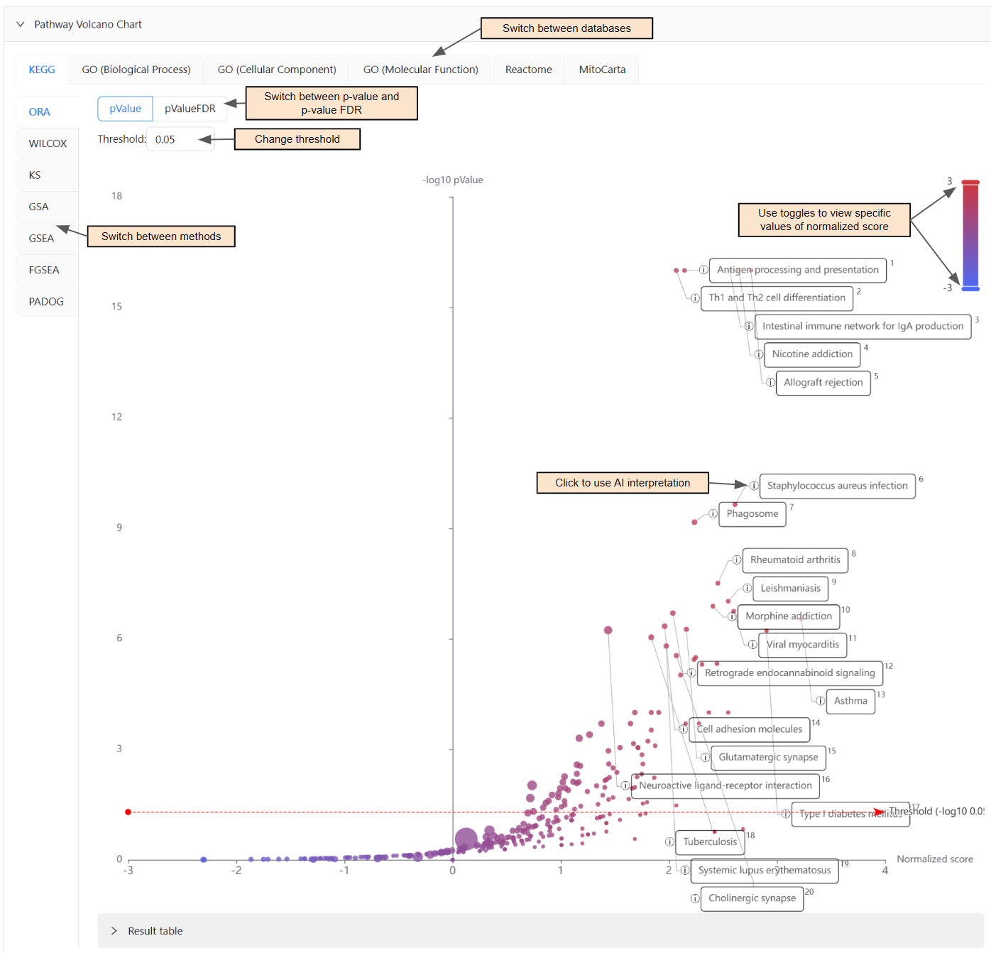 Analysis Results and Visualization | aipa
