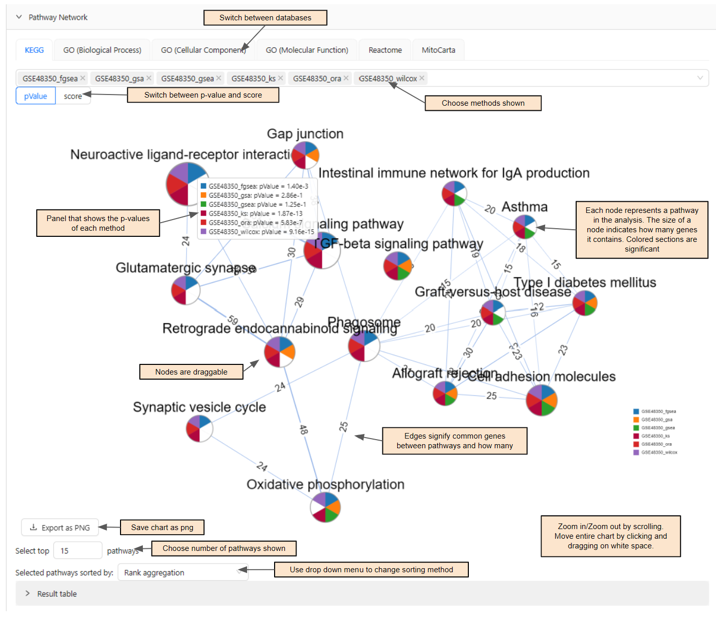 Analysis Results and Visualization | aipa