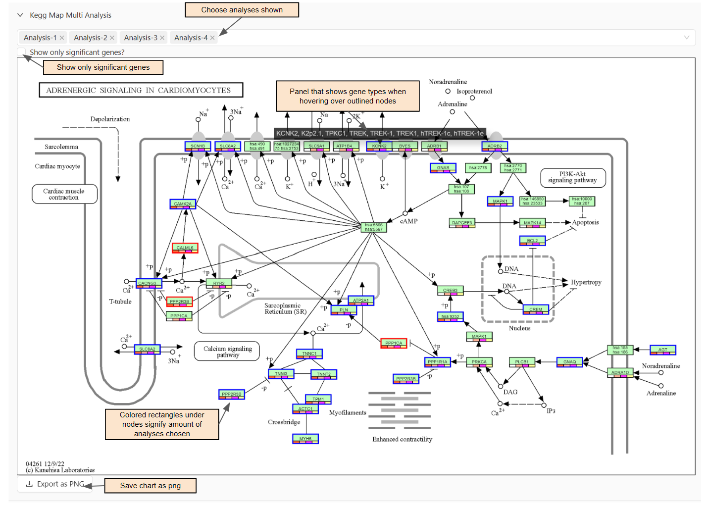 Analysis Results and Visualization | aipa