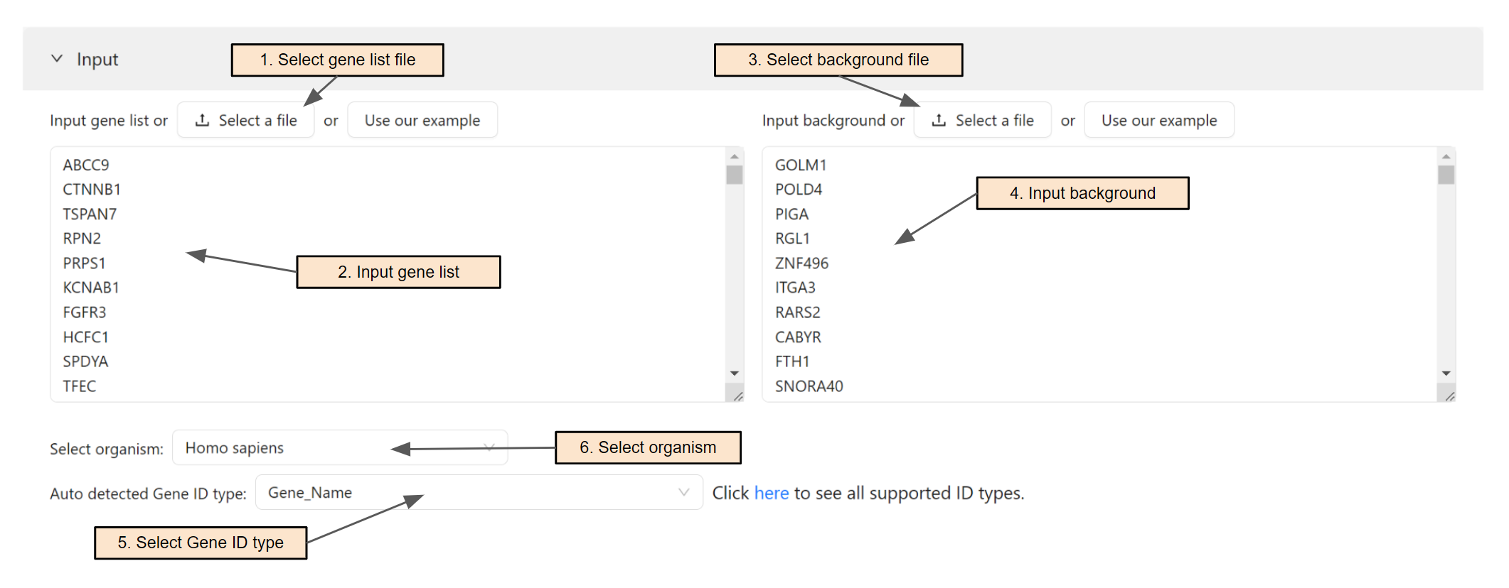 Getting Started | aipa